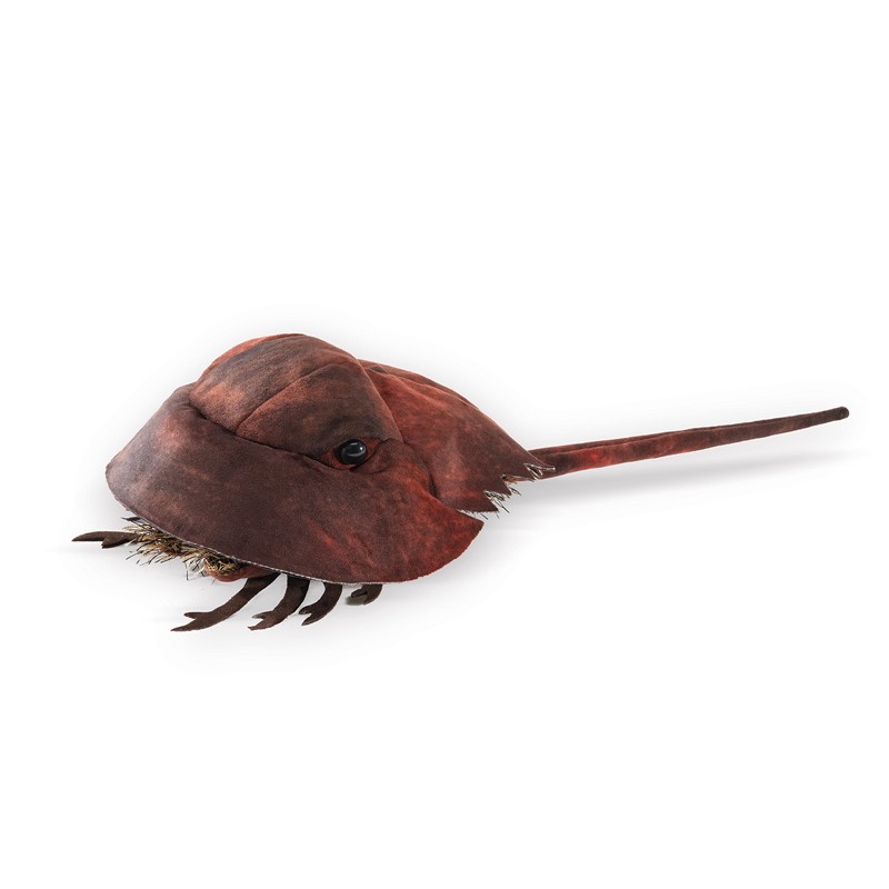 Horseshoe Crab Hand Puppet | Folkmanis